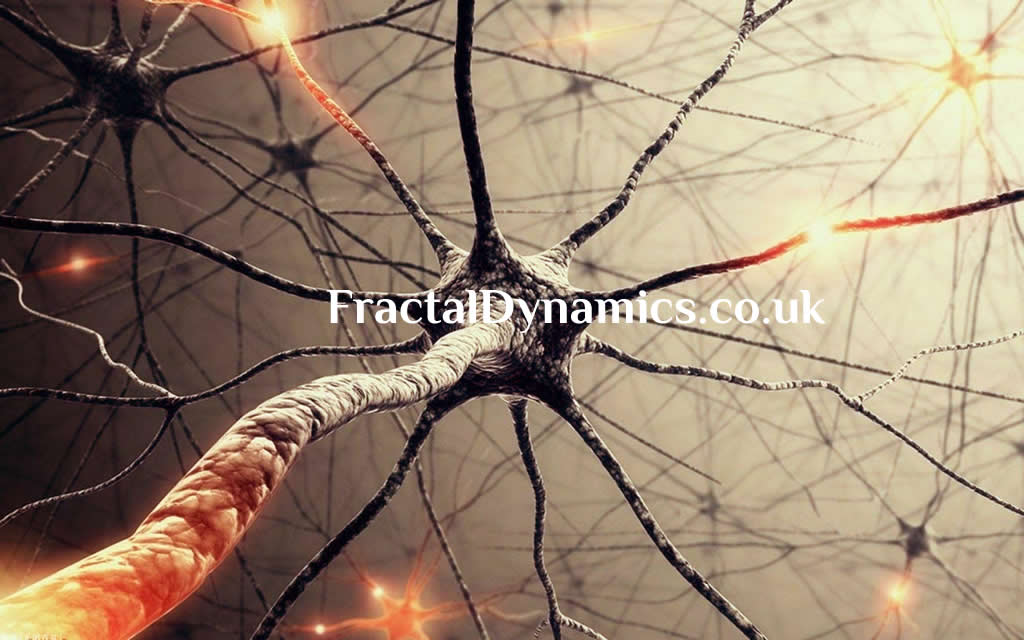 FractalDynamics